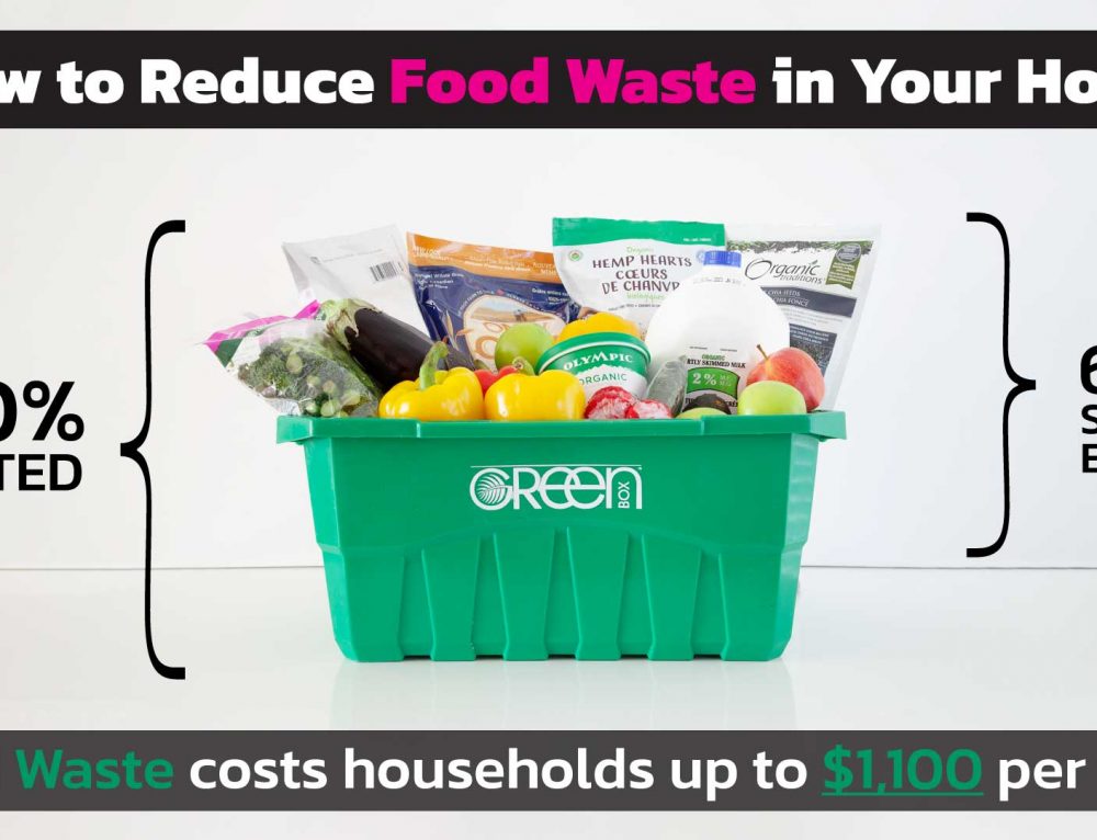 Save money by keeping a Food Waste Diary - Cash and Kerry